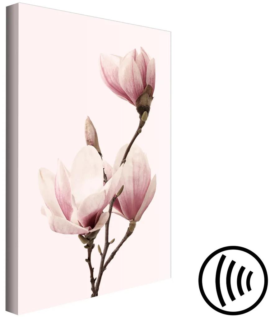 Obraz Nádech jara (1 díl) - Růžový květ magnólie v odstínu přírody