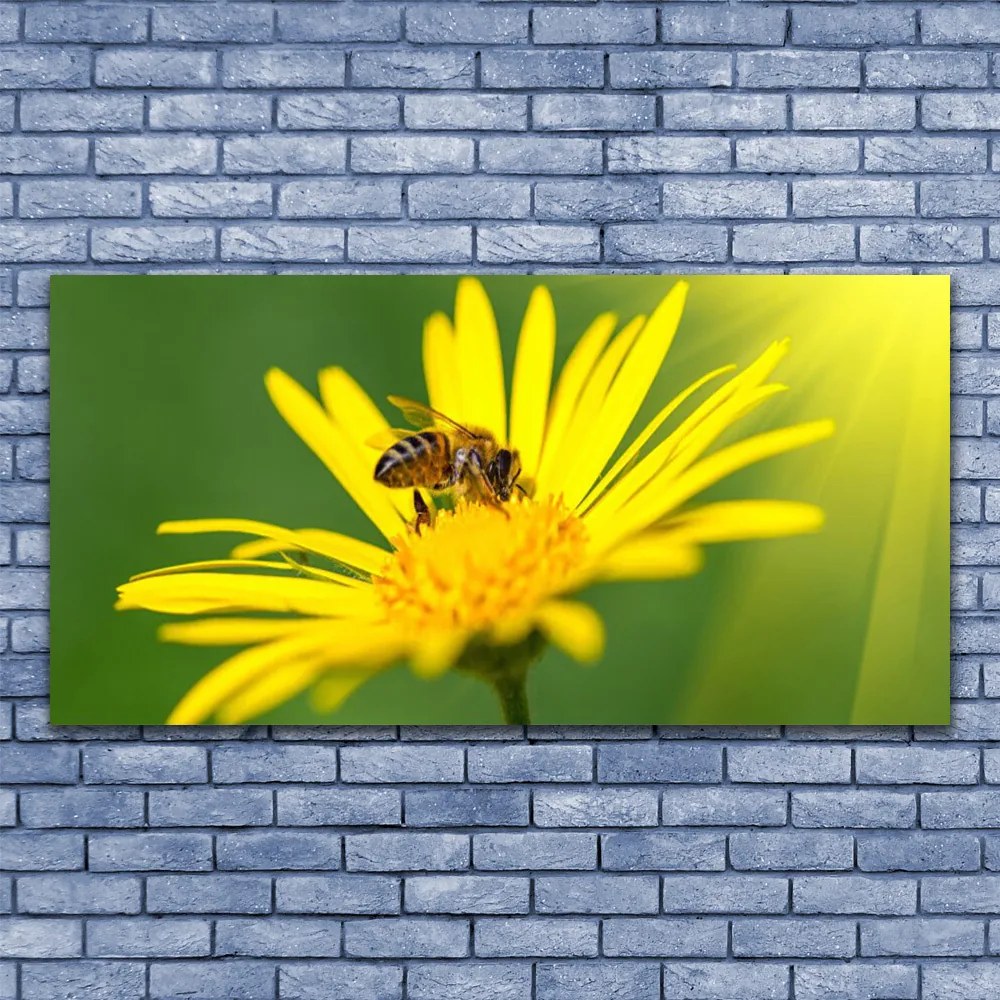 Plexisklo-obraz Vosa Květ Rostlina Příroda 120x60 cm