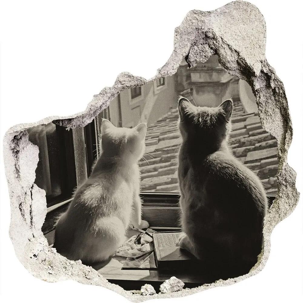Wallmuralia Díra 3D fototapeta nálepka Kočky u okna 75x75 cm