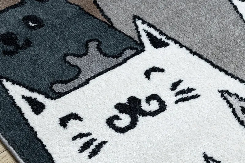 Dywany Łuszczów, Dětský kusový koberec Fun Gatti Cats multi, 200x290, šedá, dětský pokoj