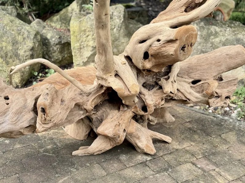 Královské křeslo z teakového kořene 195 cm – jedinečná lavice