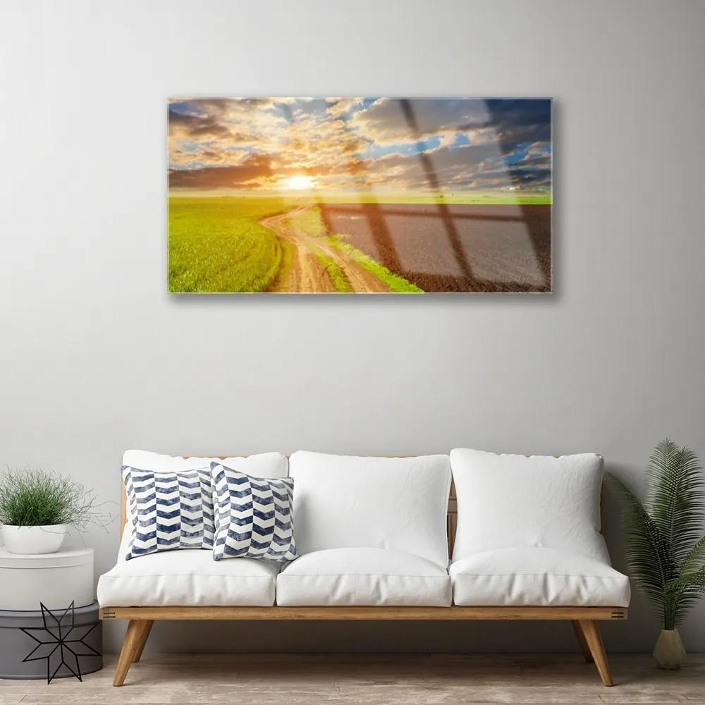 Obraz na skle Pole Nebe Slunce Příroda 100x50 cm