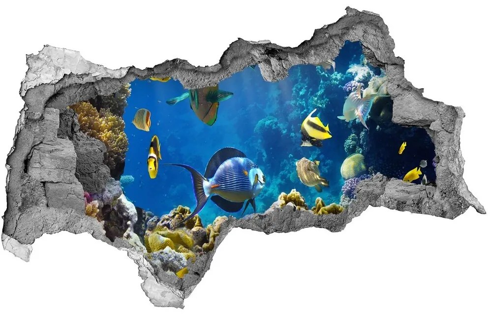 Wallmuralia Fototapeta díra na zeď Korálový útes 95x73 cm