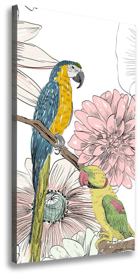 Wallmuralia Vertikální Foto obraz na plátně Papoušci a květiny 50x100