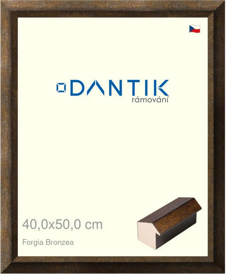 DANTIK rámeček 40x50 | Forgia Bronzea (Sklo Čiré)