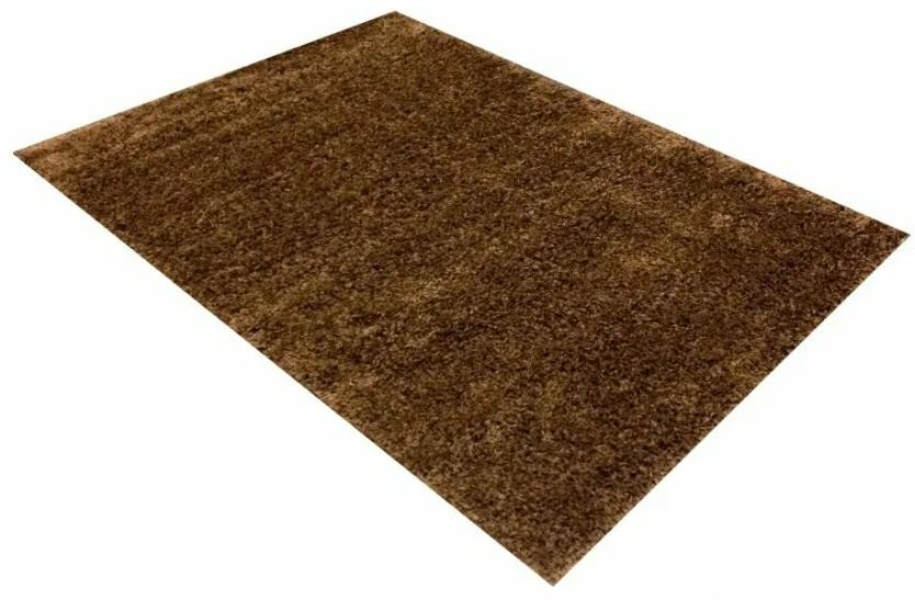 Kusový koberec Dream Shaggy 4000 brown (Varianta: 120 x 170 cm)