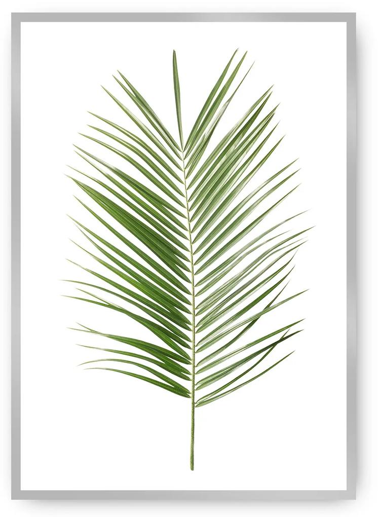 Plakát Palm Leaf Green