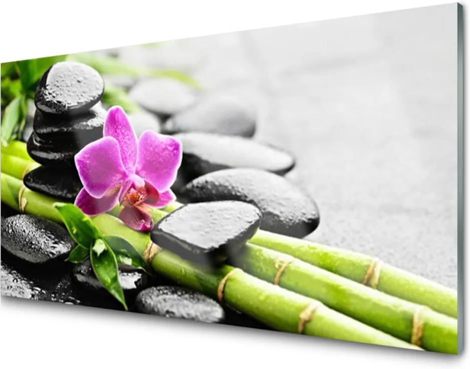 Akrylové obraz Bambus Květ Kameny Umění