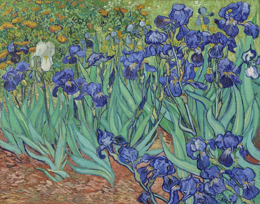 Gogh, Vincent van - Obrazová reprodukce Irises, 1889, (40 x 30 cm)