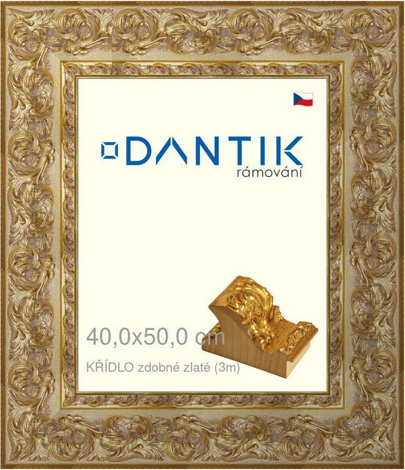 DANTIK rámeček 40x50 | KŘÍDLO zdobné zlaté (Sklo Čiré)