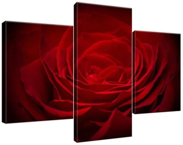 Tištěný obraz Růže pro lásku 90x60cm 2394A_3B
