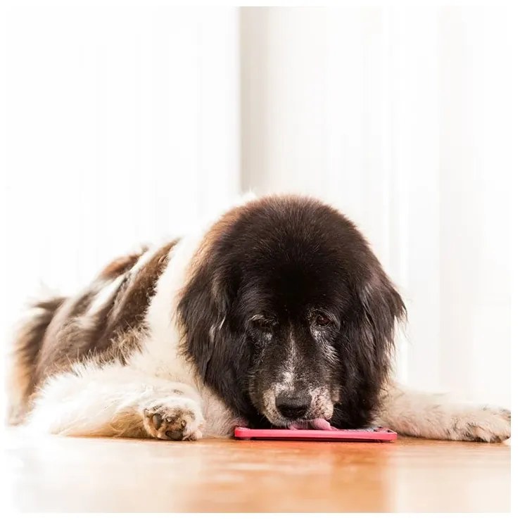 United Pets Lízací podložka pro psy LickiMat Buddy růžová