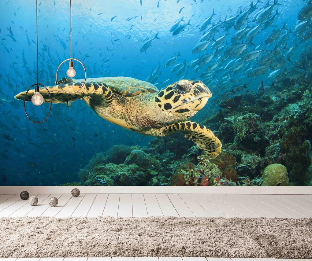 Malvis Tapeta mořská želva Vel. (šířka x výška): 288 x 200 cm