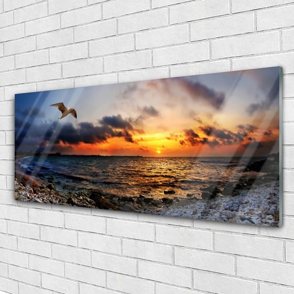 akrylový obraz Racek Moře Pláž Krajina 125x50 cm