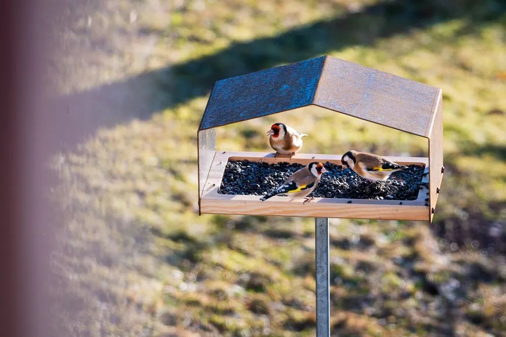 Krmítko pro ptáky - STŘEDNÍ ✔ Corten