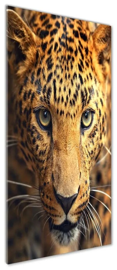 Wallmuralia Foto-obraz fotografie na skle Leopard 50x125 cm
