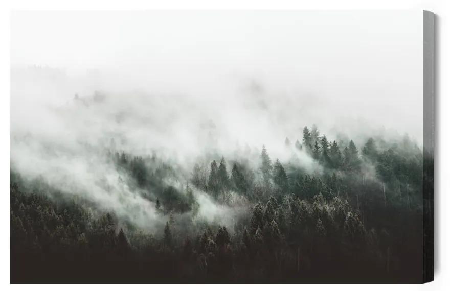 Obraz Moody Forest Landscape With Fog And Mist Nedostatek Nedostatek Přírodní plátno 30x20