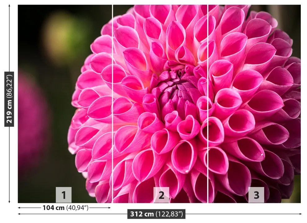 Fototapeta Dahlia Pink 104x70