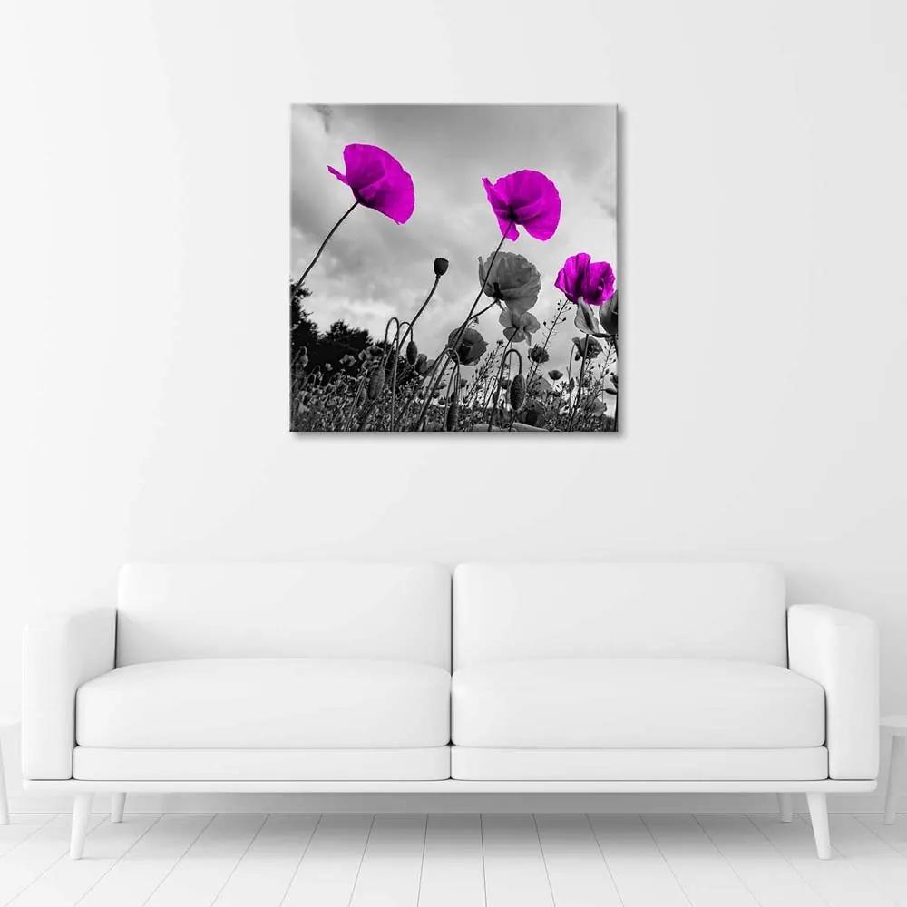 Gario Obraz na plátně Fialové květy máku Rozměry: 30 x 30 cm