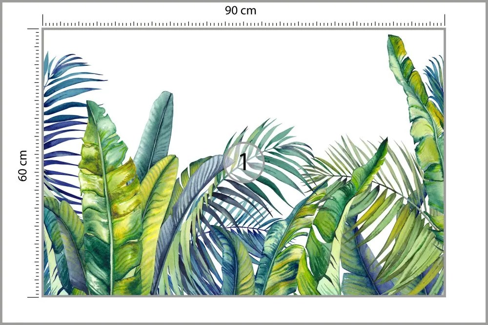 Fototapeta Zelené A Modré Tropické Rostliny Omyvatelný vlies 152.5x104