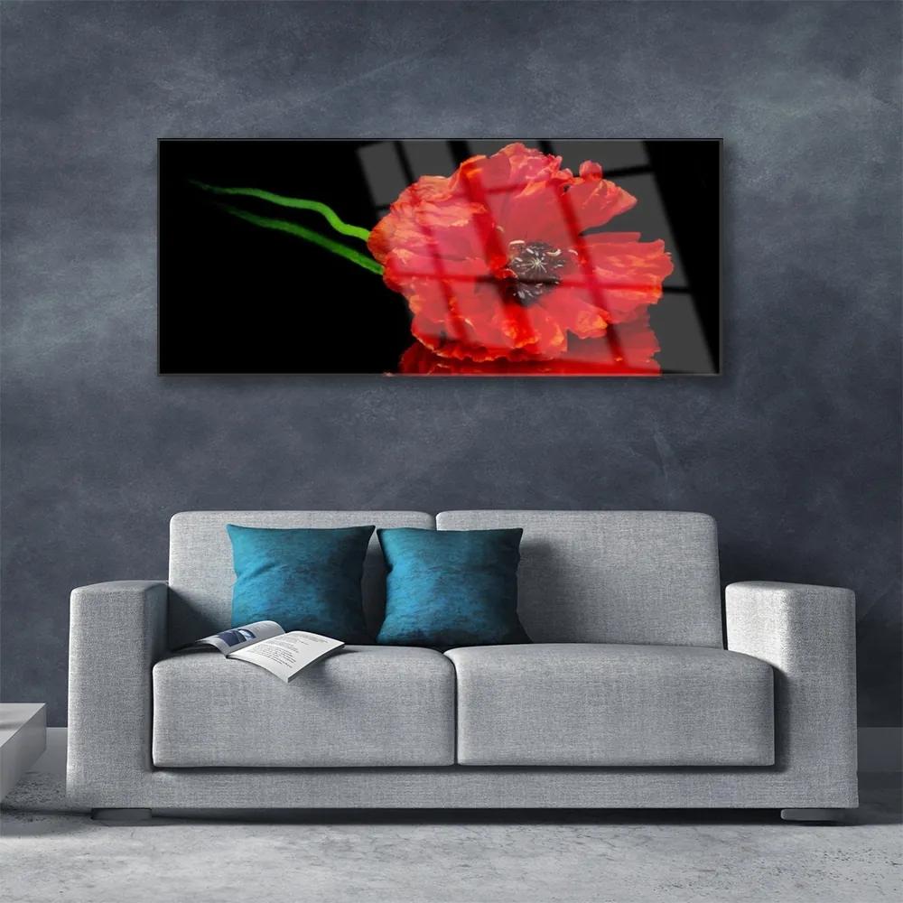 Plexisklo-obraz Květ Mák Rostlina Příroda 125x50 cm