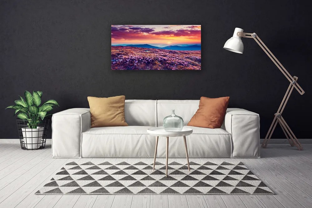 Obraz na plátně Louka Hory Květiny Příroda 125x50 cm
