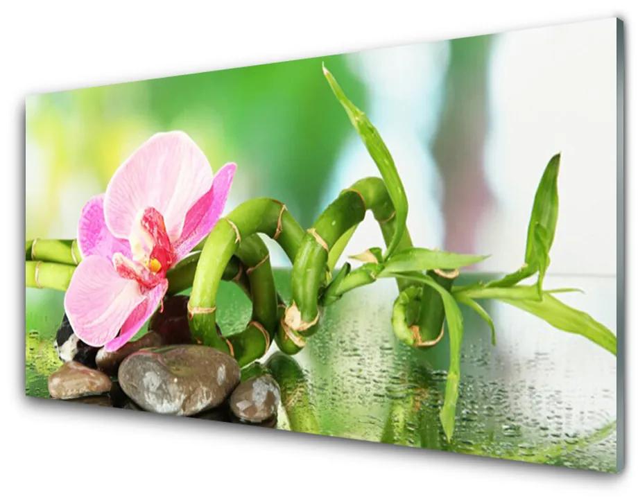 Obraz na skle Bambus Stonek Rostlina Příroda 125x50 cm