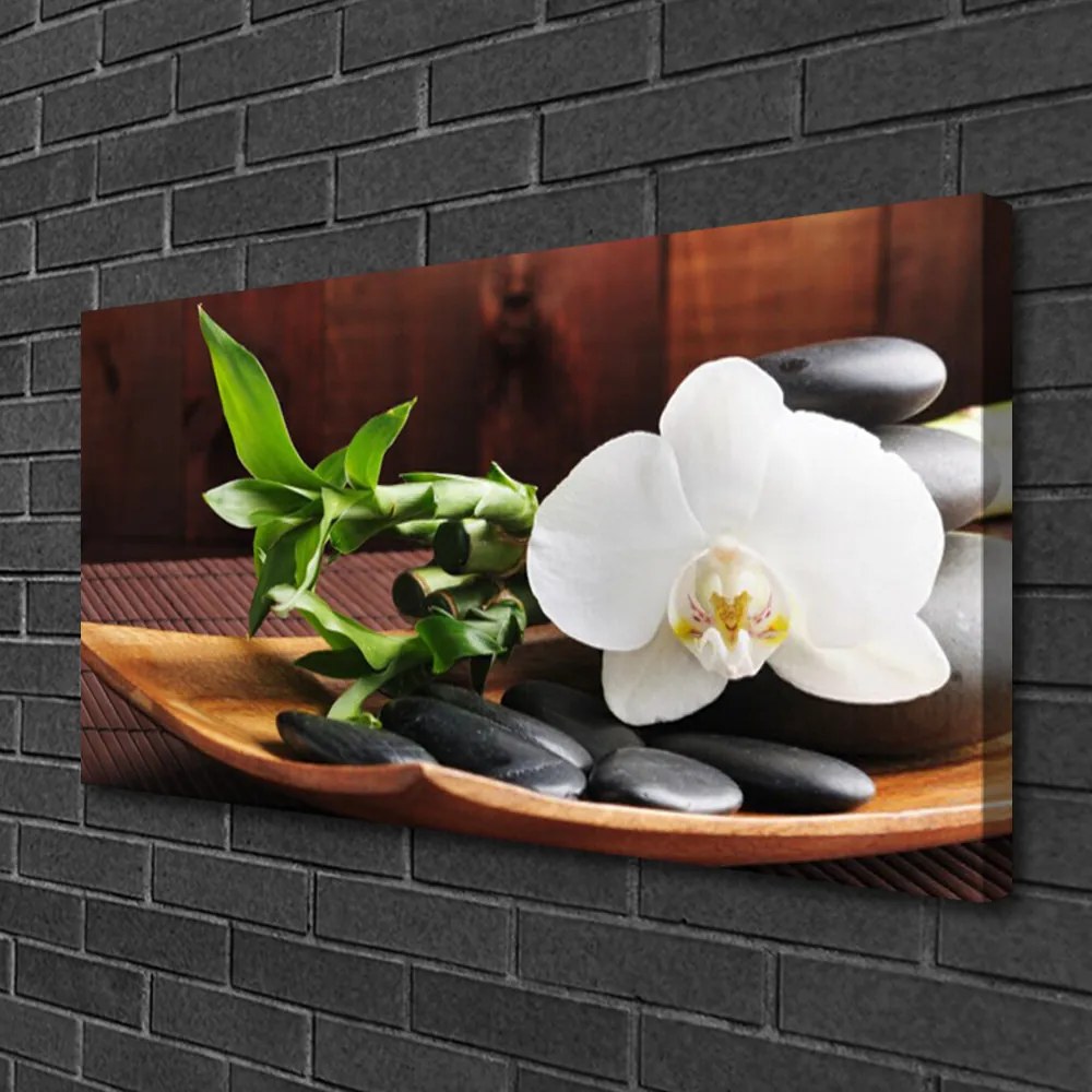 Obraz na plátně Kameny Zen Bílá Orchidej 100x50 cm