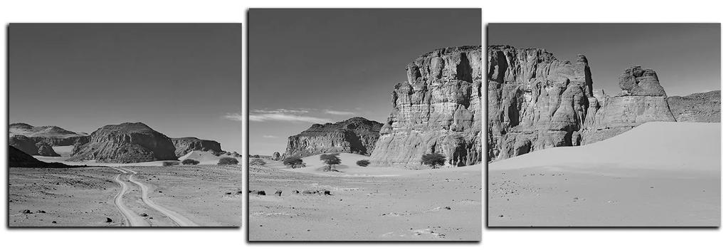 Obraz na plátně - Silnice v poušti - panoráma 5129QD (90x30 cm)