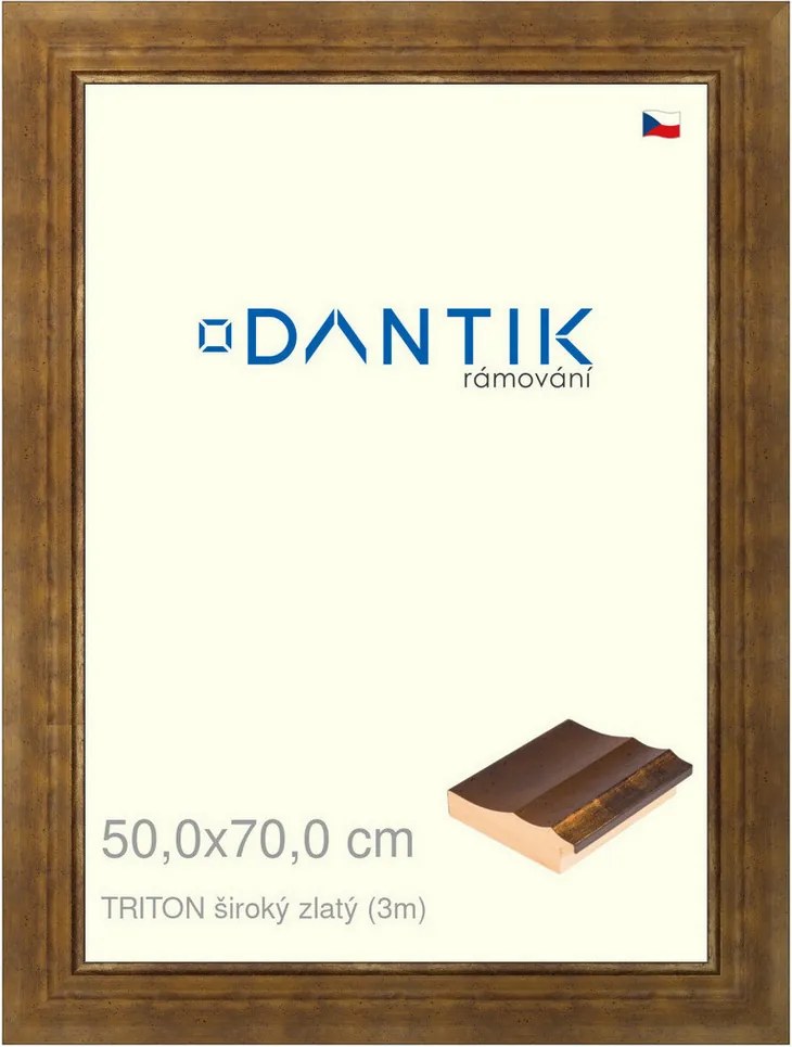DANTIK rámeček 50x70 | TRITON široký zlatý (Plexi Čiré)