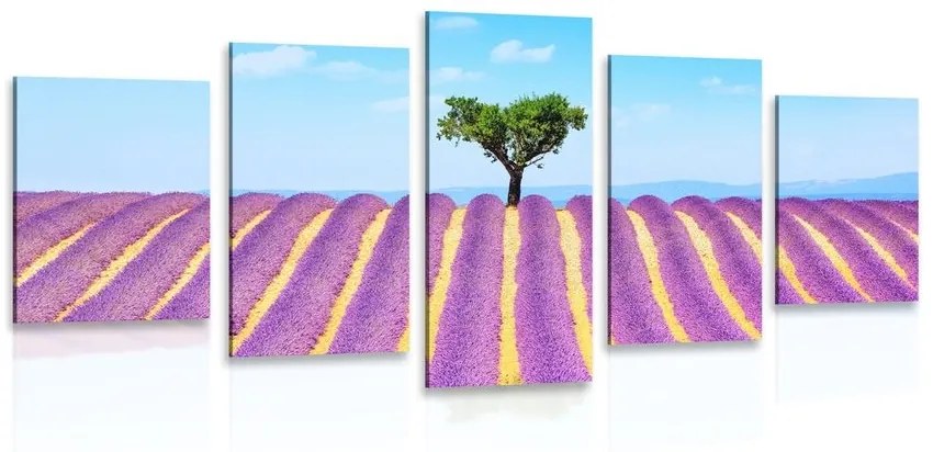 5-dílný obraz provensálské levandulové pole - 200x100 cm