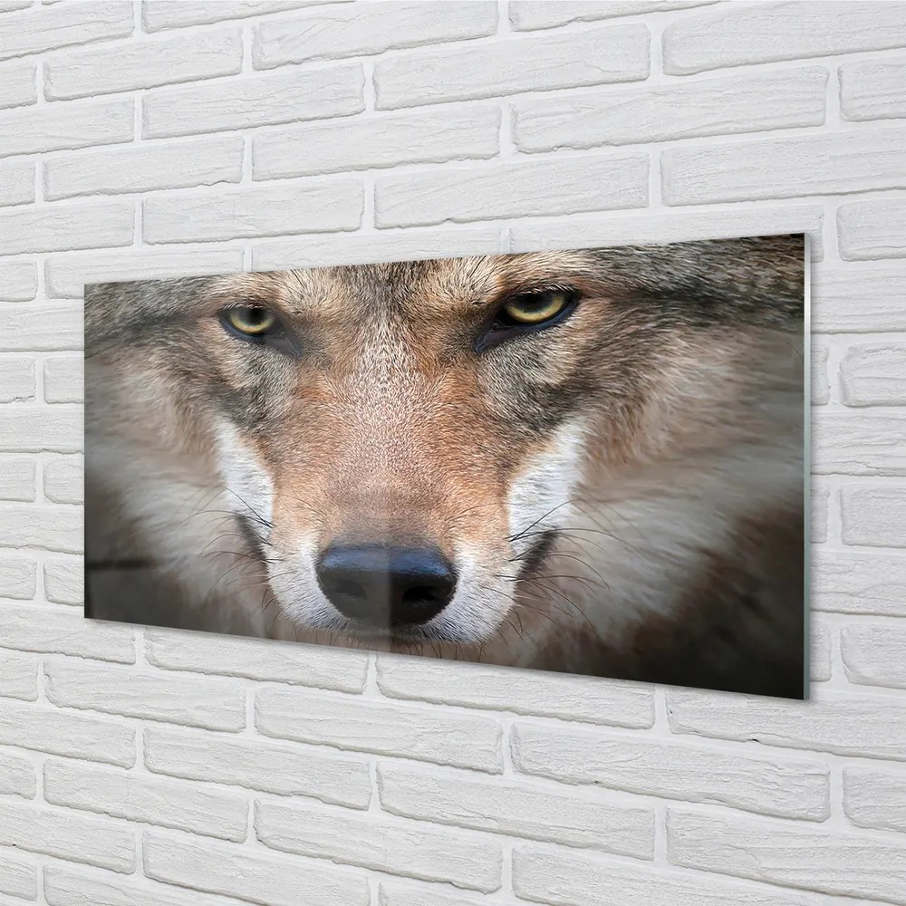 Skleněný panel wolf Eyes 120x60 cm