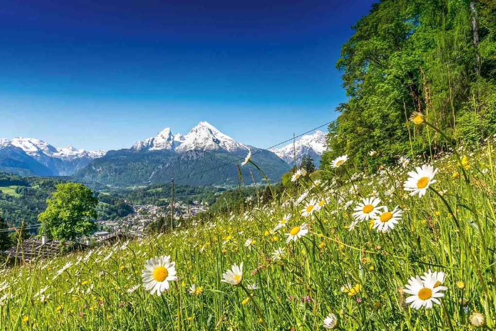 DIMEX | Vliesová fototapeta Alpská krajina MS-5-1302 | 375 x 250 cm| zelená, modrá, bílá, žlutá