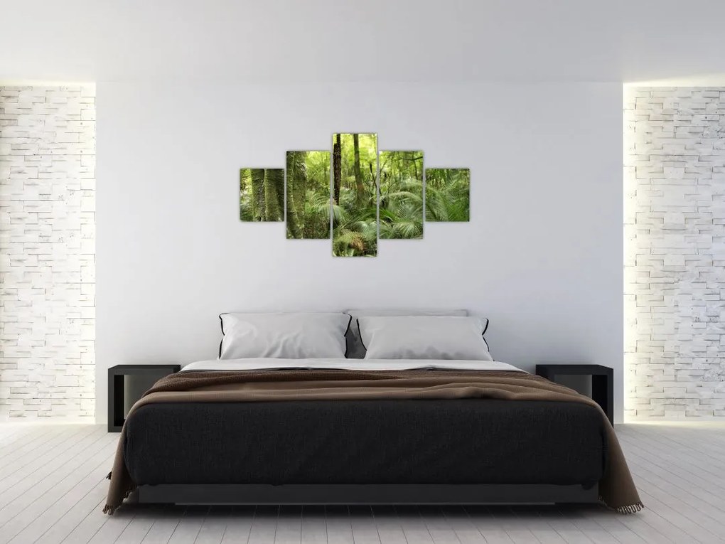 Obraz Tropický deštný prales (125x70 cm)