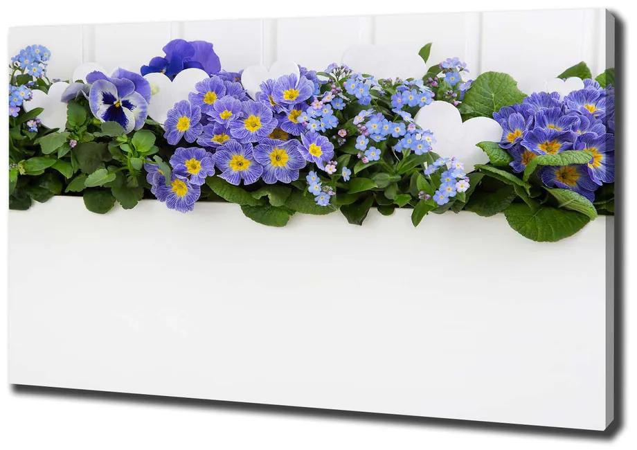 Wallmuralia Foto obraz na plátně do obýváku Modré květiny 100x70 cm