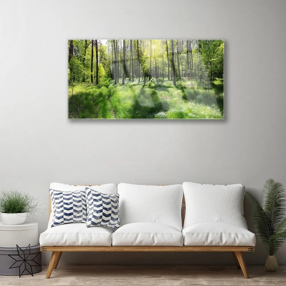 Obraz na skle Les Tráva Rostlina Příroda 100x50 cm