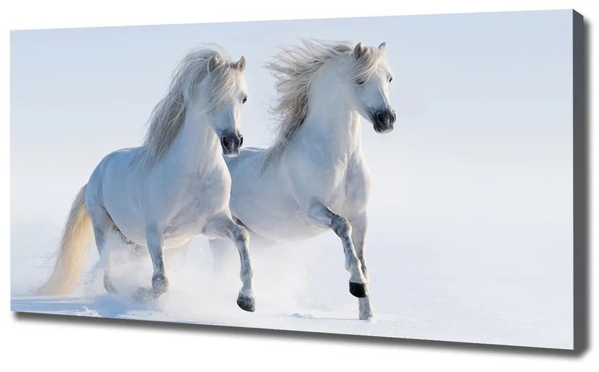 Wallmuralia Foto obraz na plátně do obýváku Dva koně ve sněhu 120x60 cm