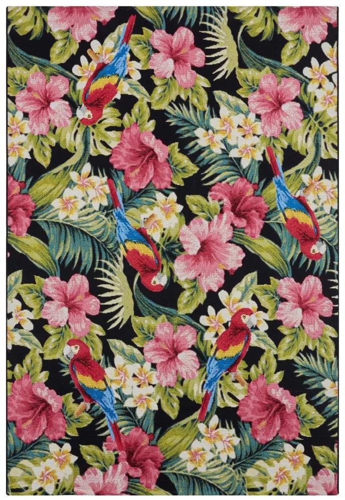 Hanse Home Collection koberce Kusový koberec Flair 105619 Tropical Feeling Multicolored – na ven i na doma - 120x180 cm