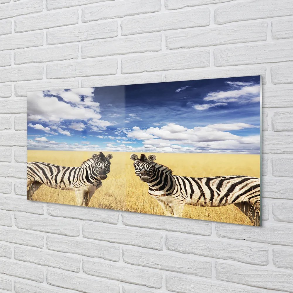 akrylový obraz zebra box 140x70 cm