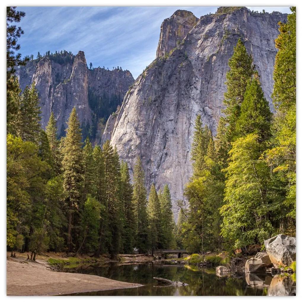 Obraz - Pod Yosemite skálou (30x30 cm)