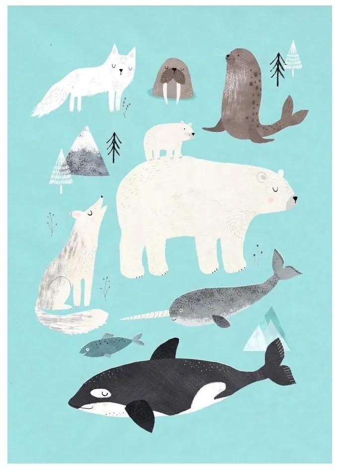 PETIT MONKEY Plakát Artic animals 50 x 70 cm, modrá barva, papír