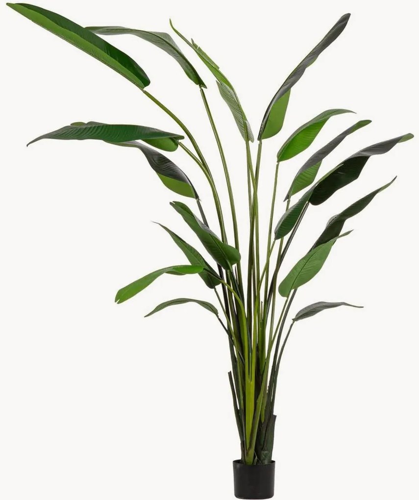 Exteriérová umělá rostlina Strelitzia