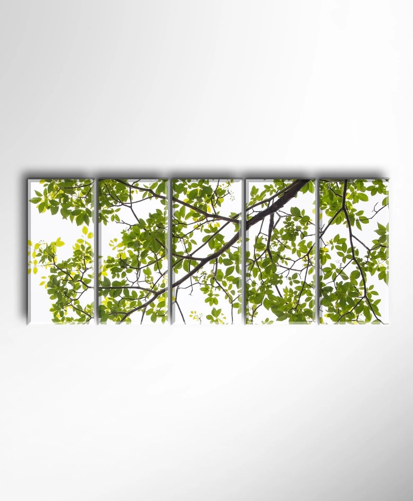Malvis ® Obraz větev stromu ROZMĚR (šířka x výška): jednodílný obdélník 100x45 cm