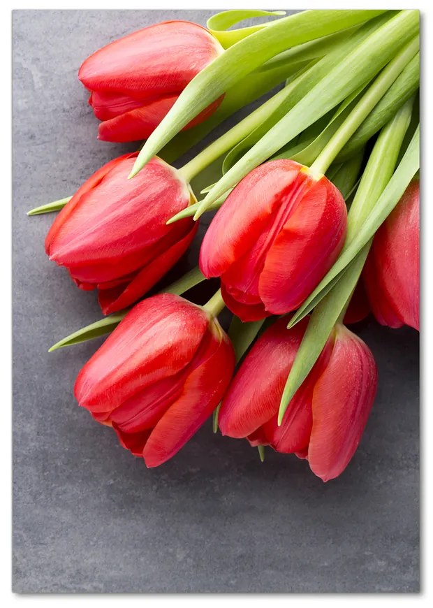Wallmuralia Foto obraz akrylový Červené tulipány 70x100 cm