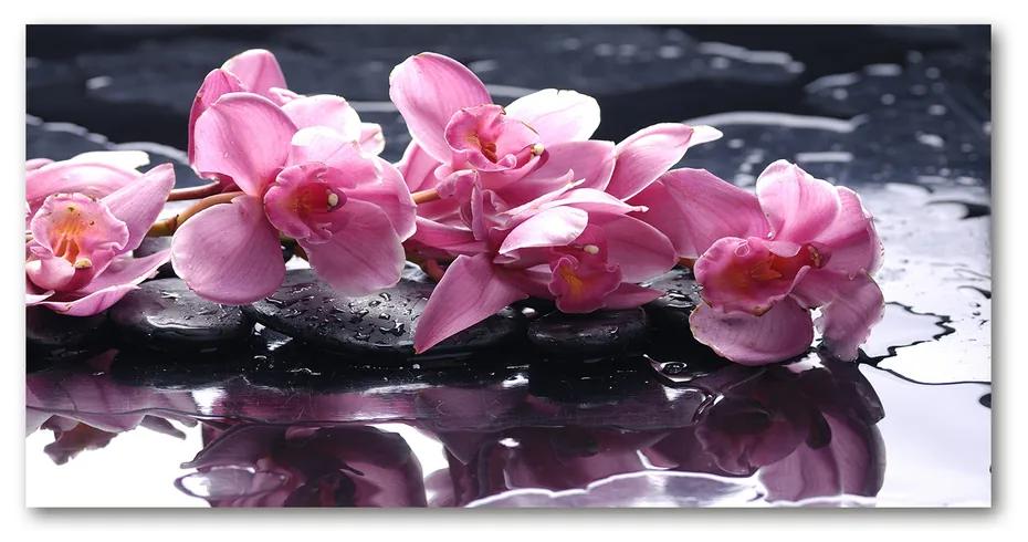 Wallmuralia Foto obraz akrylový na stěnu Růžová orchidej 140x70 cm