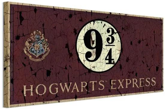 Obraz na plátně Harry Potter (Hogwarts Express) 100x50cm WDC93150