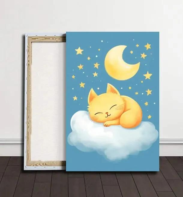 Obraz - Kočička na Měsíčním Obláčku