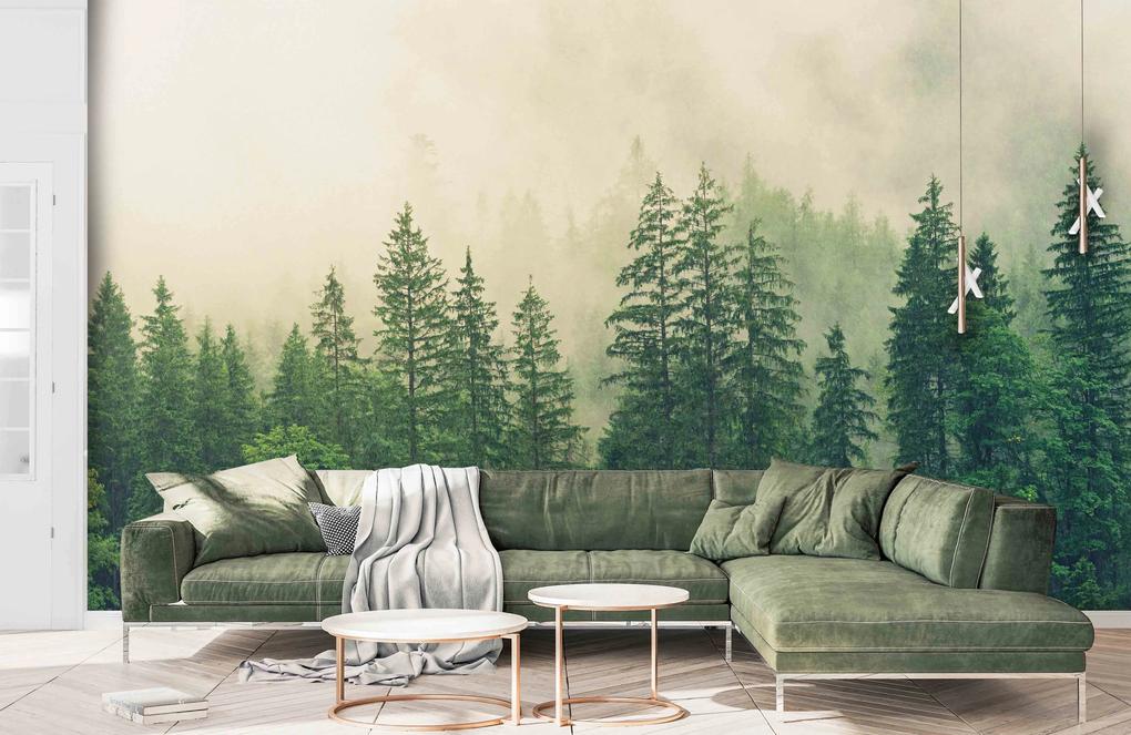 Malvis ® Tapeta Brzká lesní mlha Vel. (šířka x výška): 216 x 140 cm