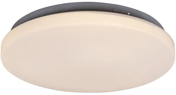 Rabalux 3338 - LED Stropní svítidlo ROB 1xLED/20W/230V