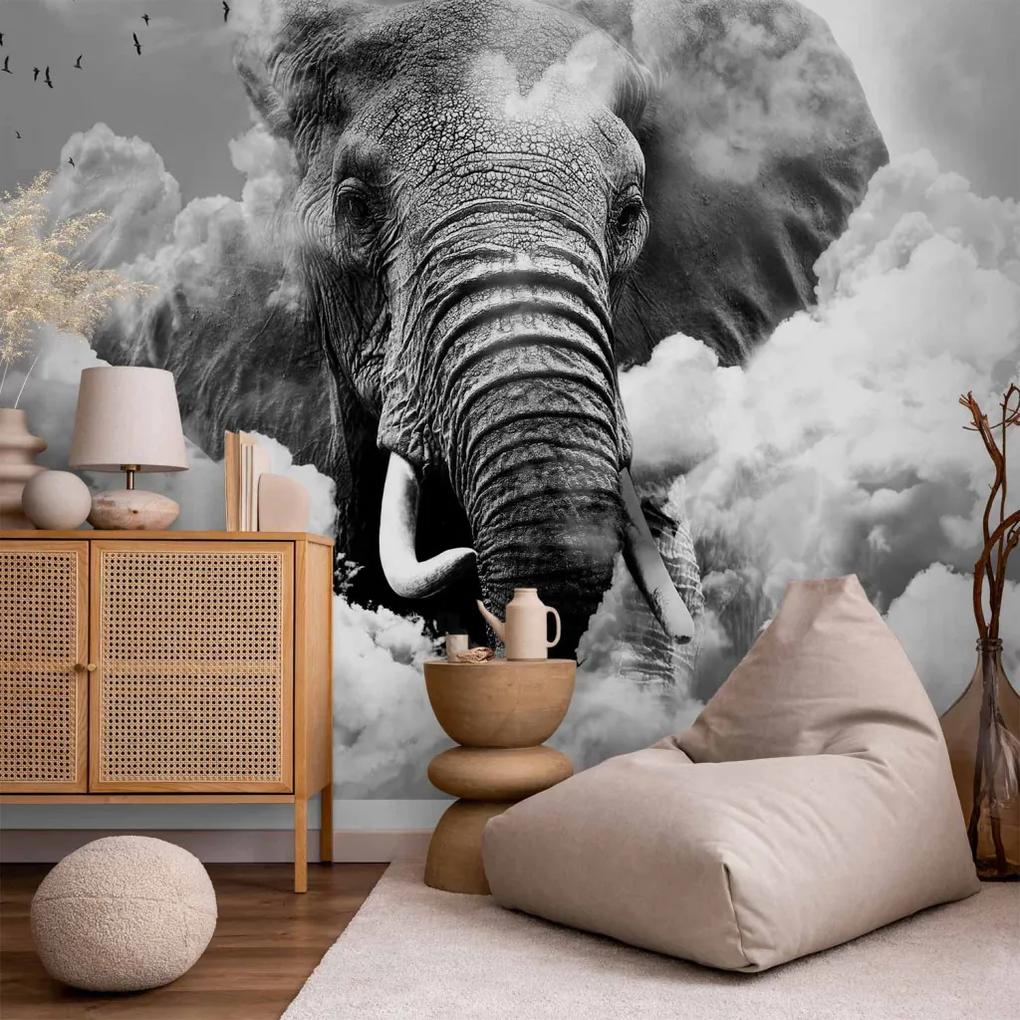 Fototapeta Abstrakce se slonem - africký slon na nebi mezi mraky s ptáky